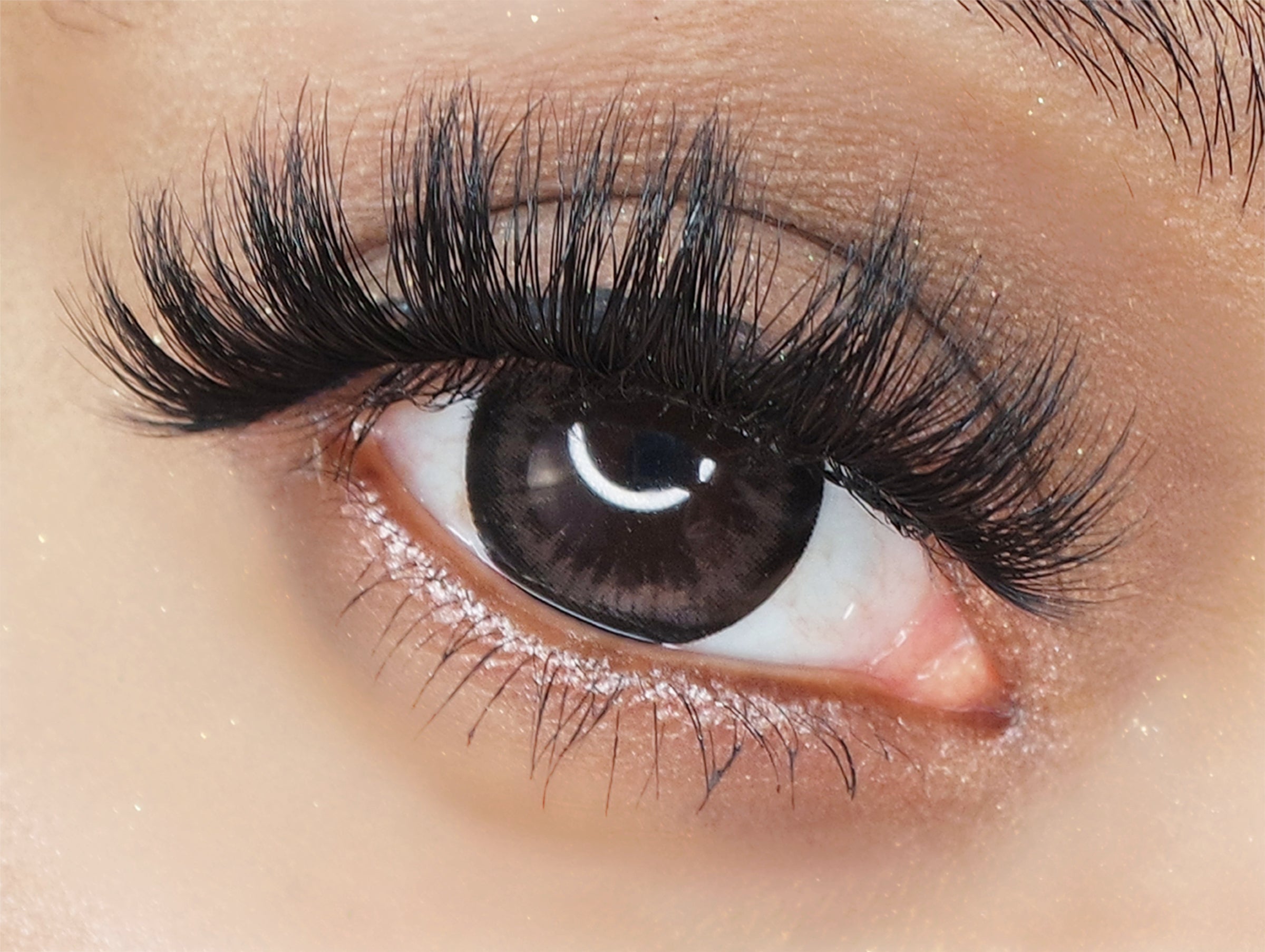 Fantasy Tale (3D Luxury Mink) – Pretty By Nikki